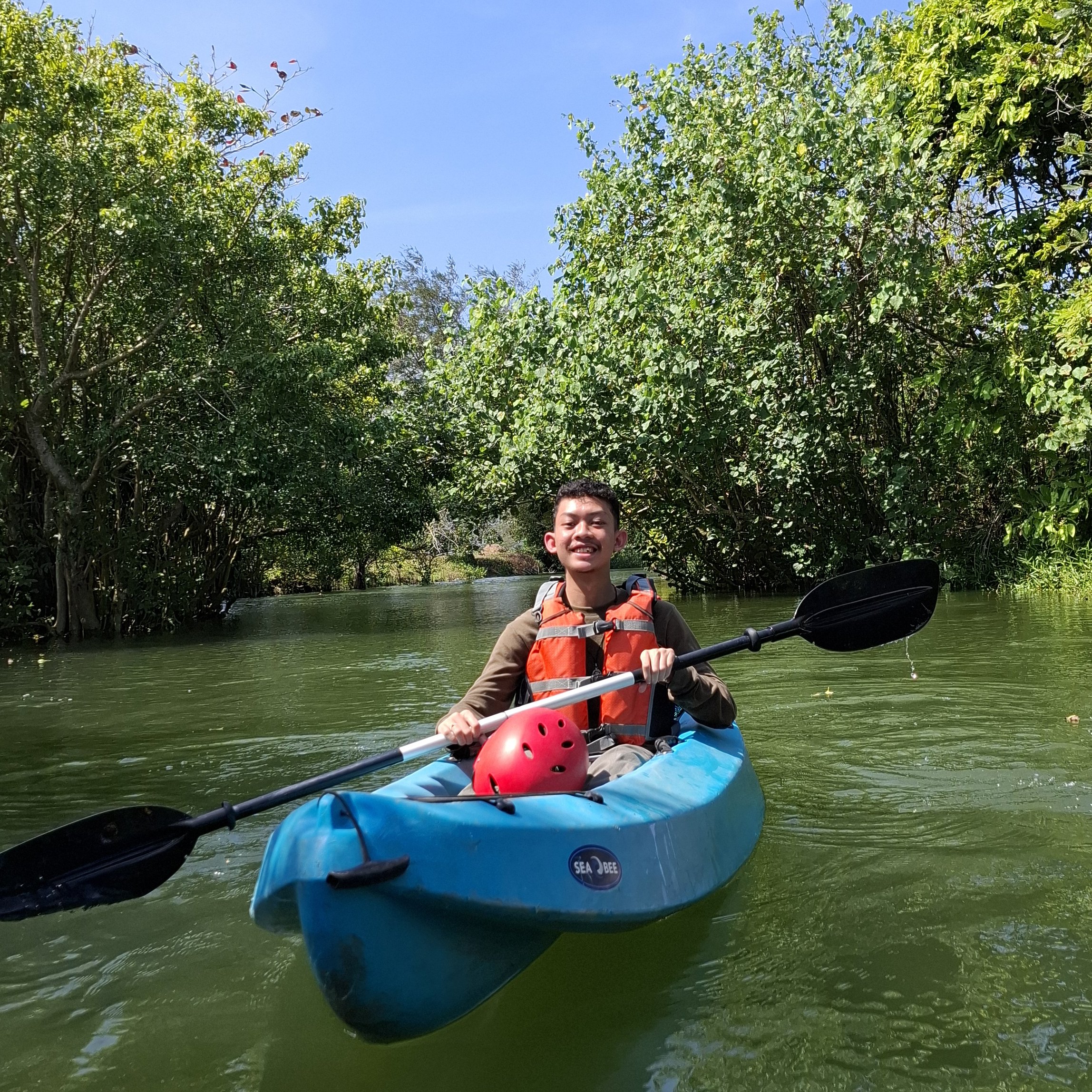 Mohammad Aly Haidarulloh's Profile